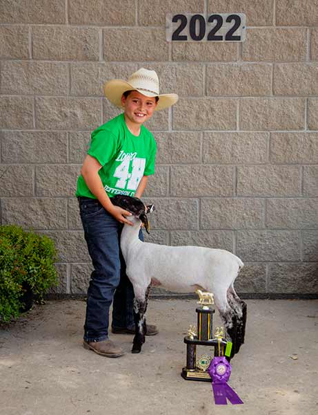 Lamb & Sheep - Jefferson County Fair
